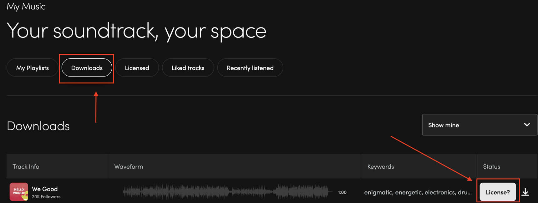 Music Usage Declaration/License